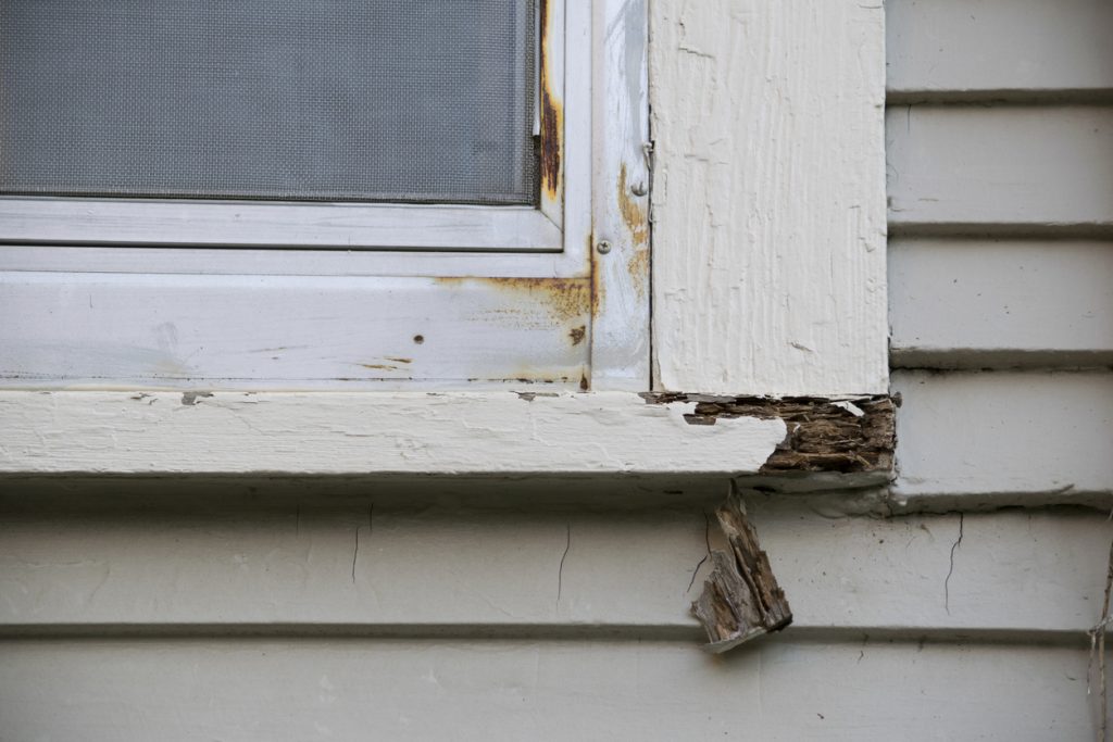 Bay Area Expert Wood Rot Repair & Painting | 925-866-9610